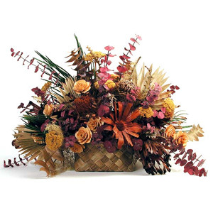 Dried craft pods – Dried flowers & Exotic botanicals