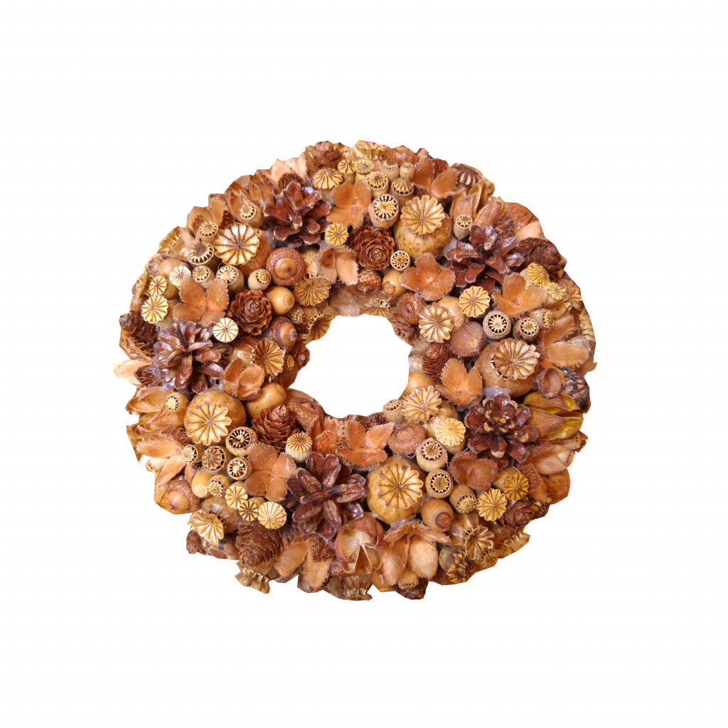 Dried craft pods – Dried flowers & Exotic botanicals