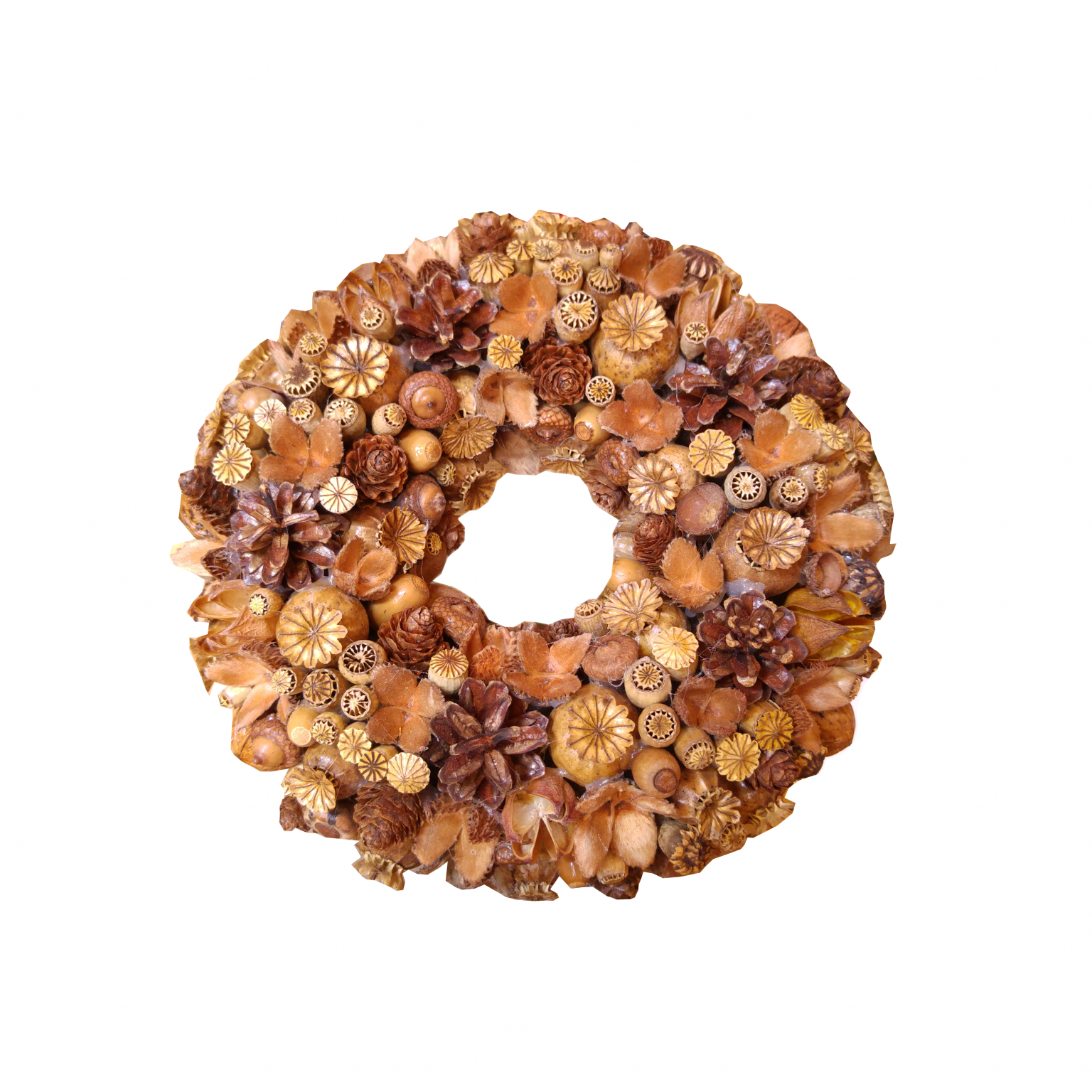 Dried Poppy Pods – Dried flowers & Exotic botanicals