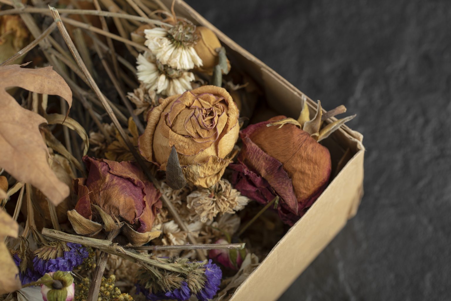 Dried Poppy Pods – Dried flowers & Exotic botanicals