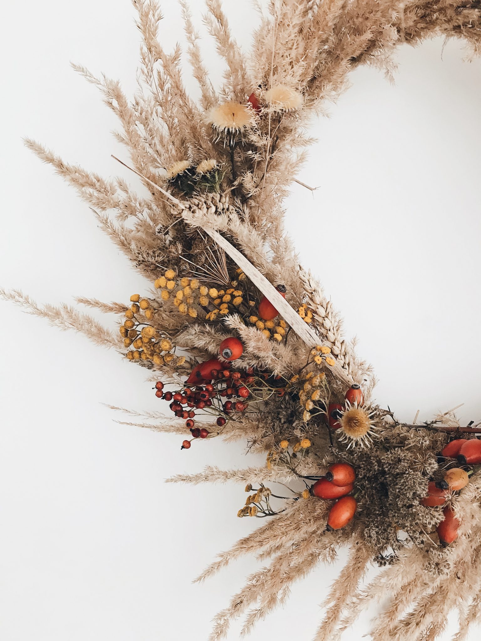 Dried Poppy Pods – Dried flowers & Exotic botanicals