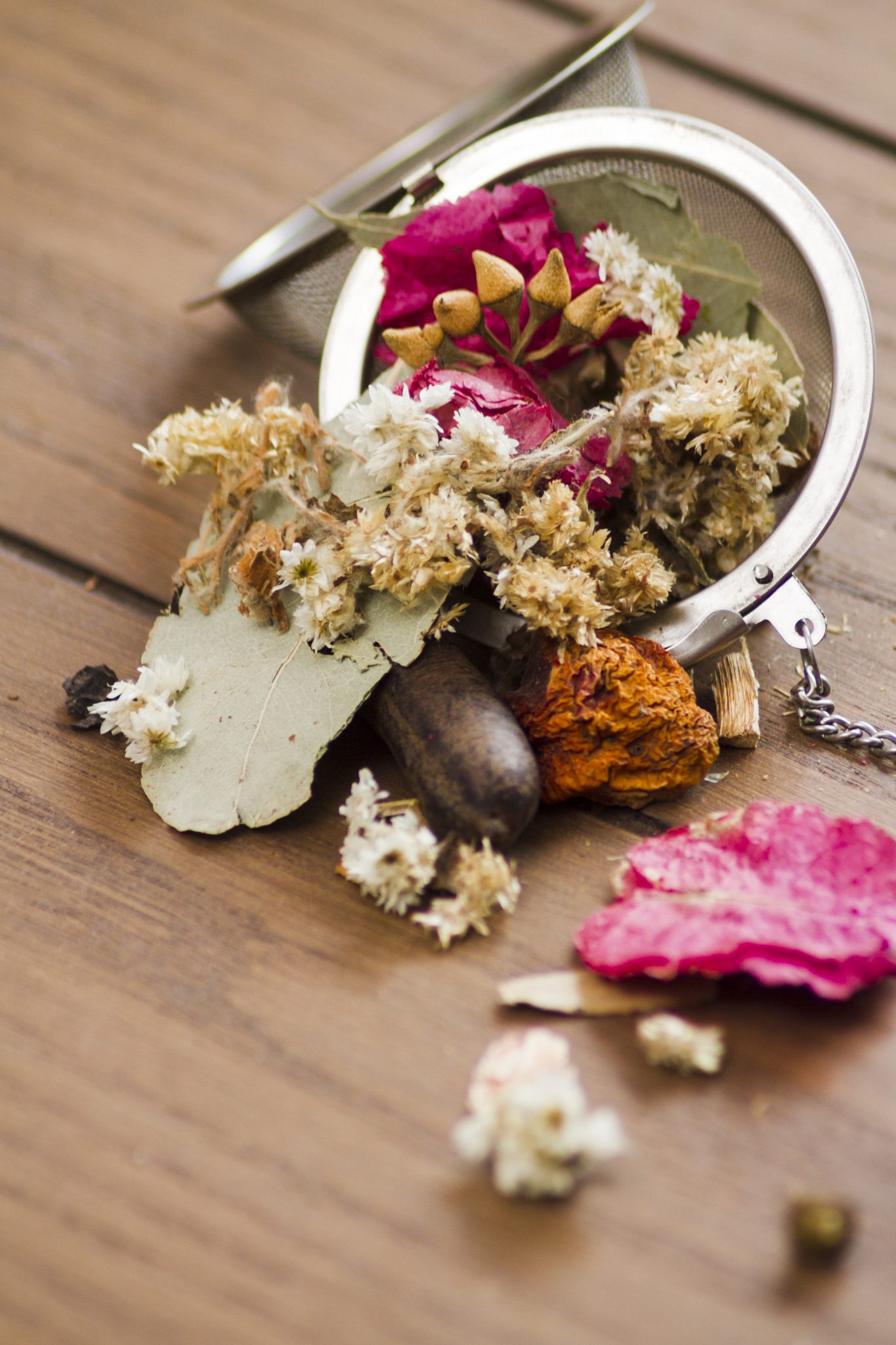 Dried Poppy Pods – Dried flowers & Exotic botanicals